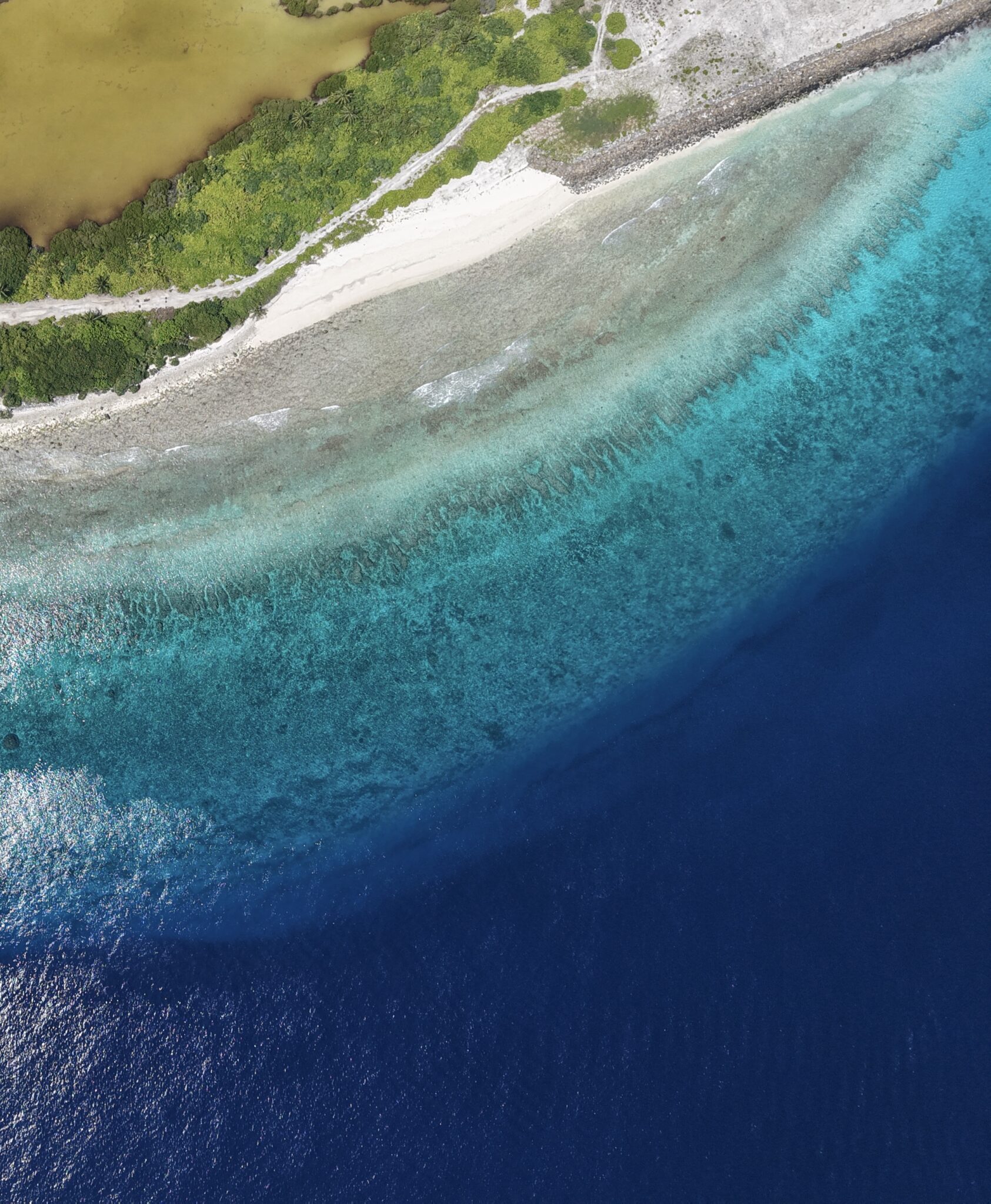 Home [discoverkulhudhuffushi.com]